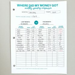 January 2019 Budget Recap | The Budget Mom