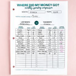 March 2019 Budget Recap | The Budget Mom